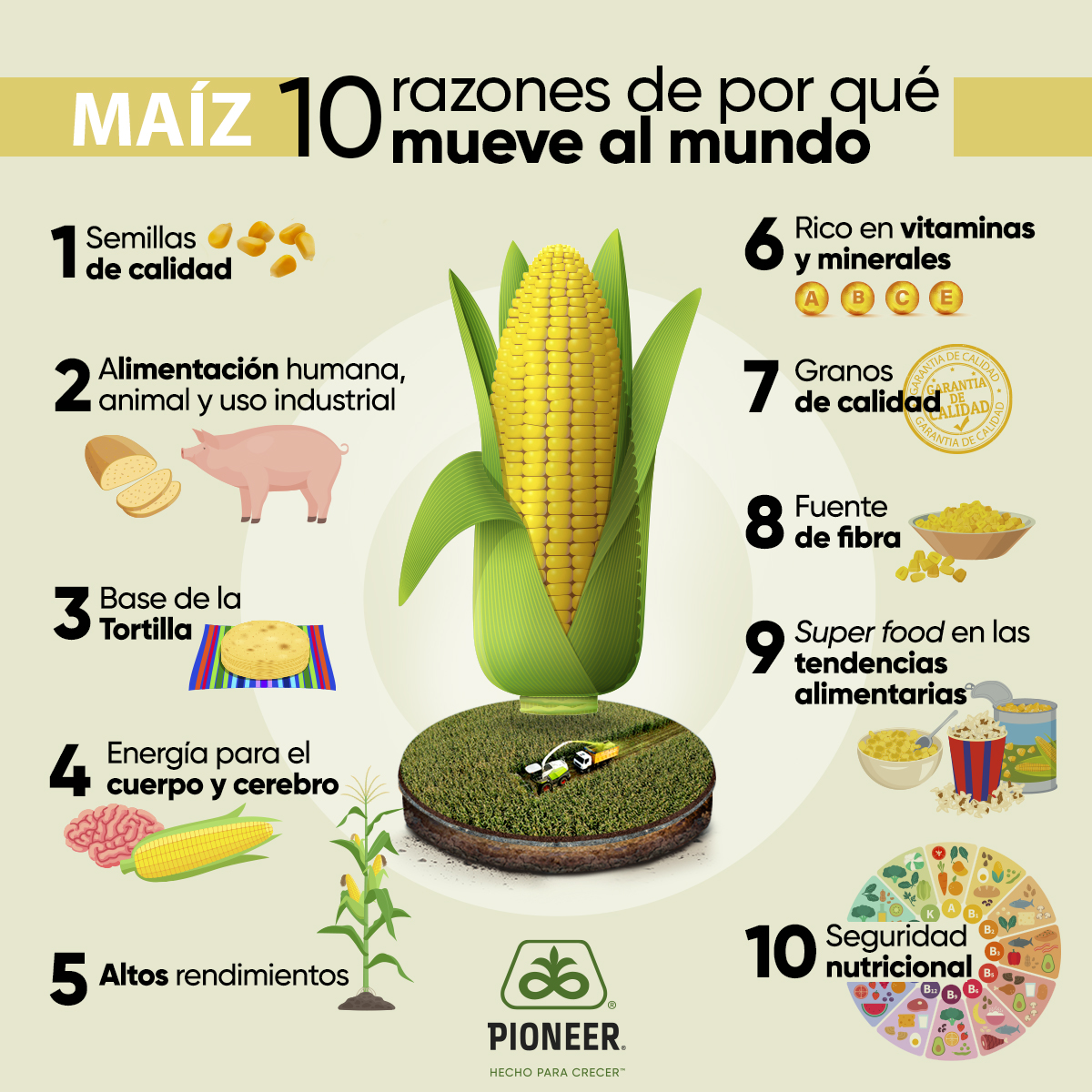 El maíz, la poderosa semilla que mueve al mundo